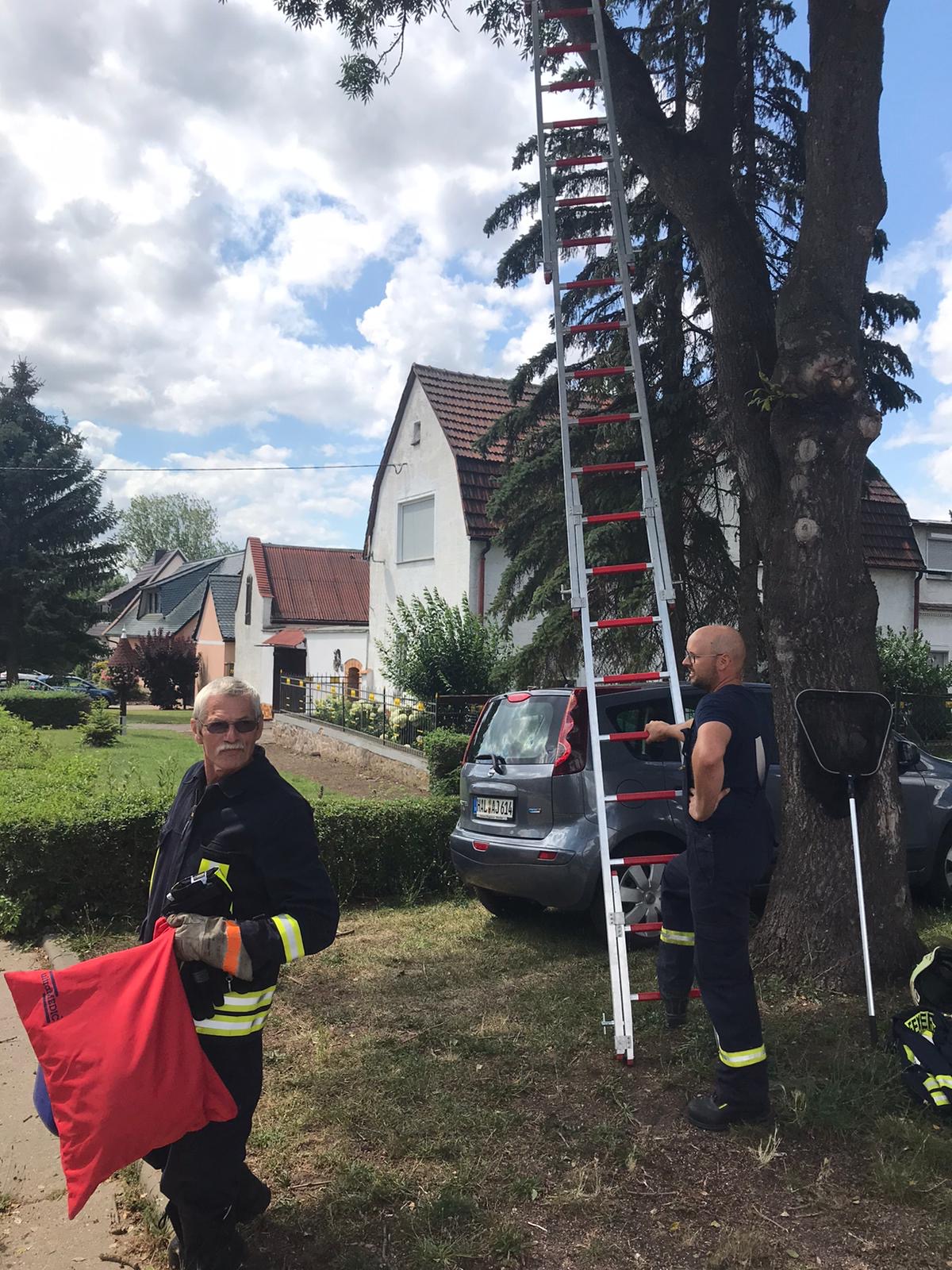 0f777e46-241f-4f09-8da0-726485df5de8 - Feuerwehr Brachwitz